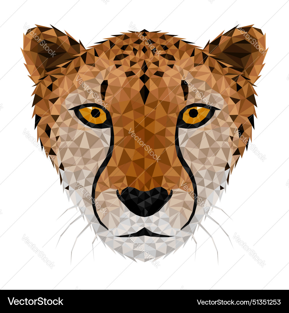 Cheetah low poly face Royalty Free Vector Image