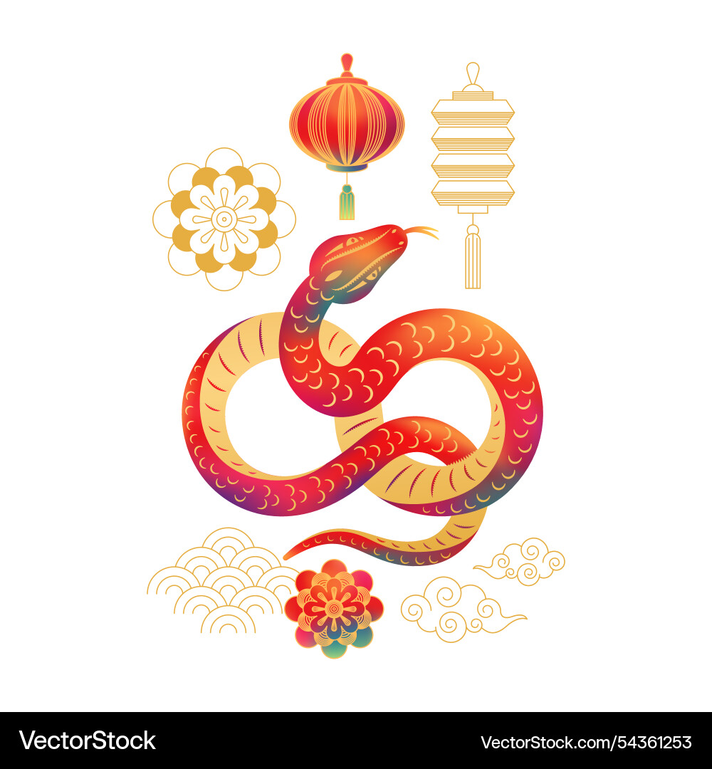 Gradient line snake lantern flower cloud cny Vector Image