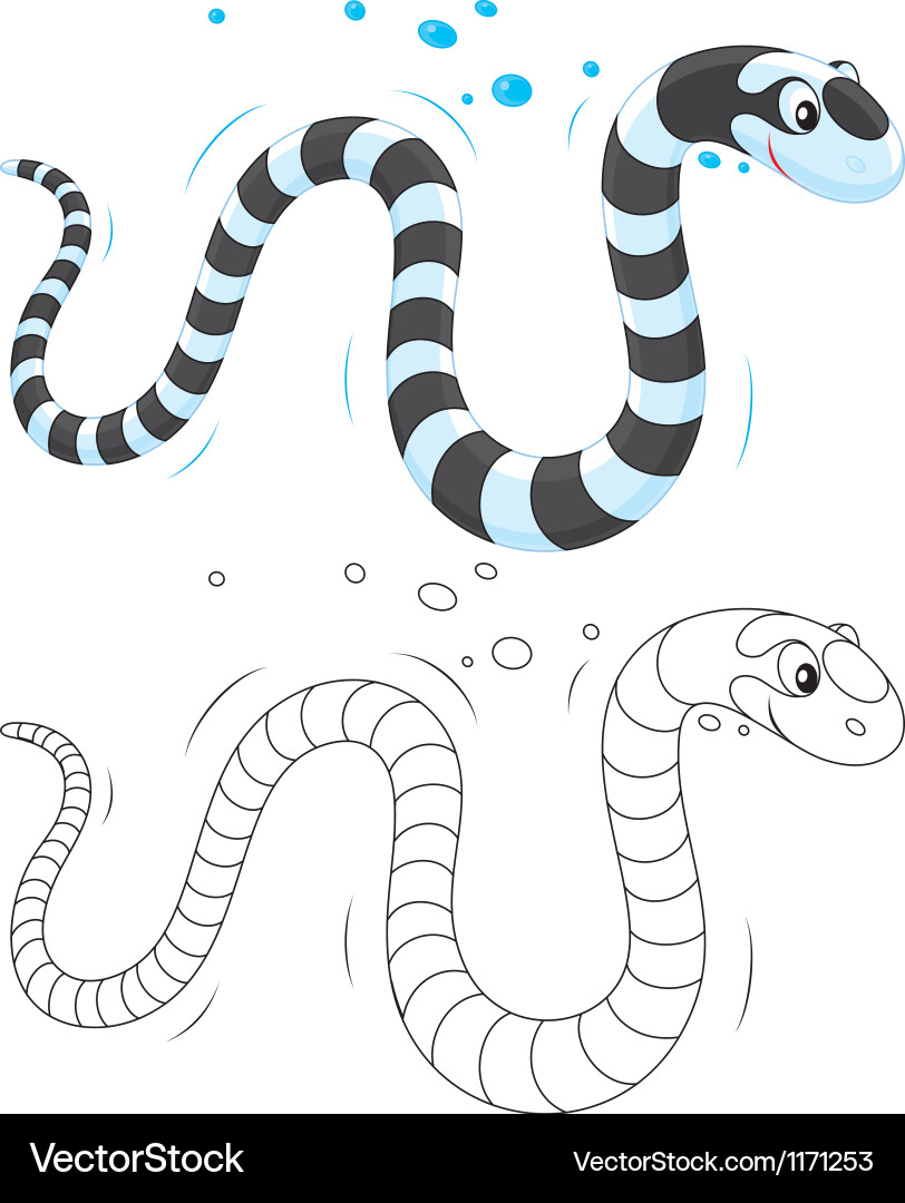 Sea snake Royalty Free Vector Image - VectorStock