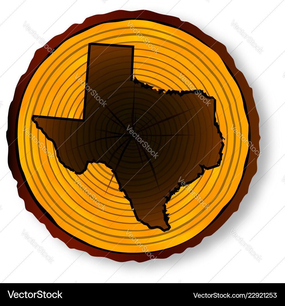 Texas map on timber end section Royalty Free Vector Image