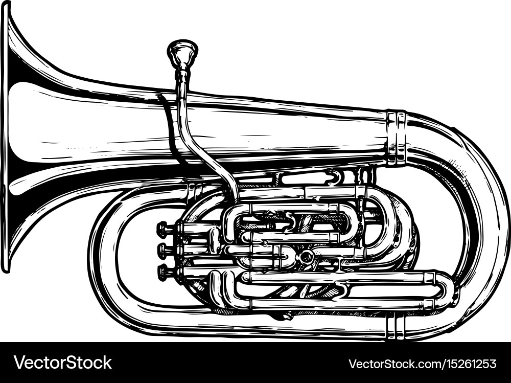 Tuba Royalty Free Vector Image - VectorStock
