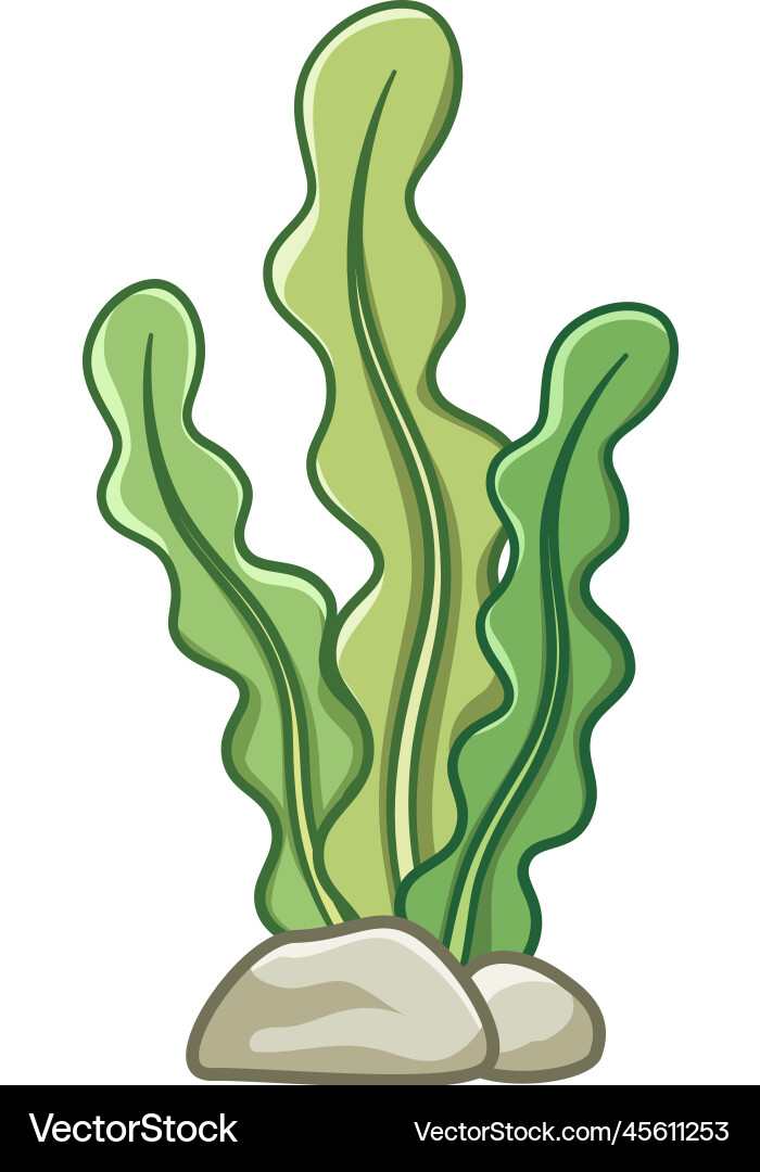 Underwater seaweed clipart Royalty Free Vector Image