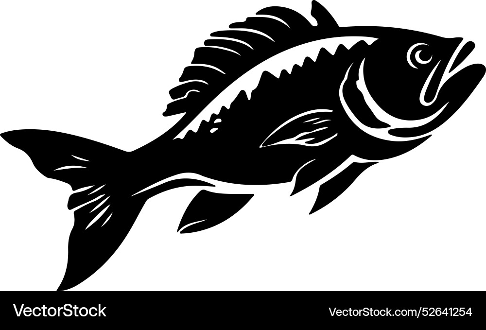 Coelacanth fish silhouette white background Vector Image