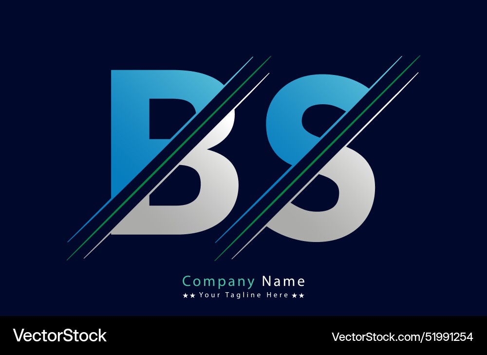 Unique bs letter logo icon template Royalty Free Vector