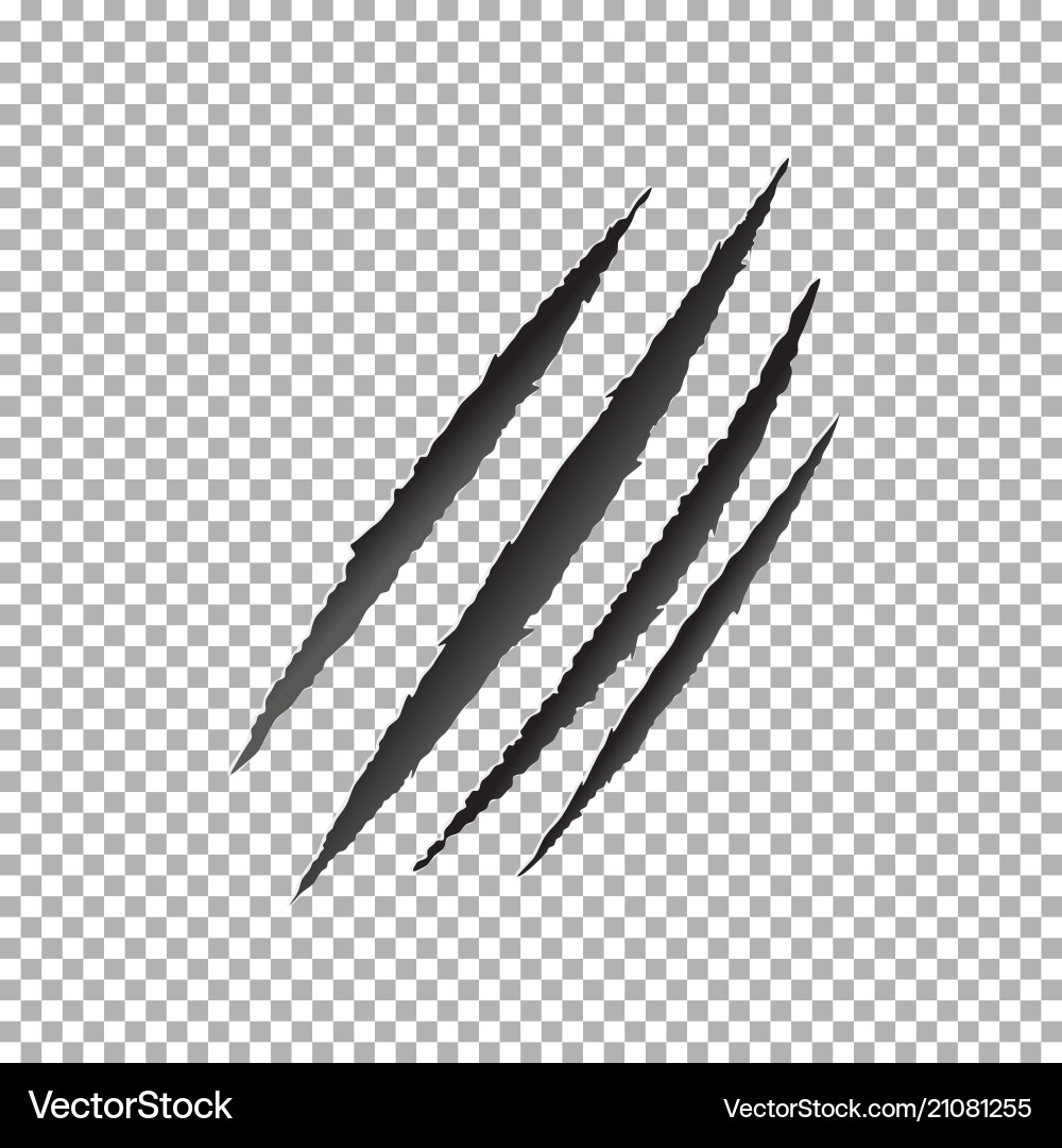 Animal Claw Scratches - Damage & Attack Vector Image