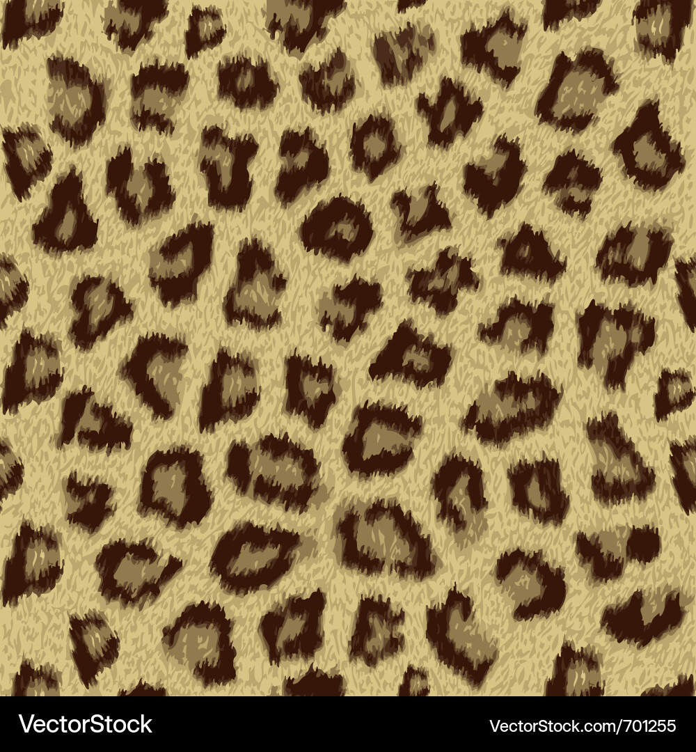 Cheetah Fur Pattern Royalty Free Vector Image - VectorStock