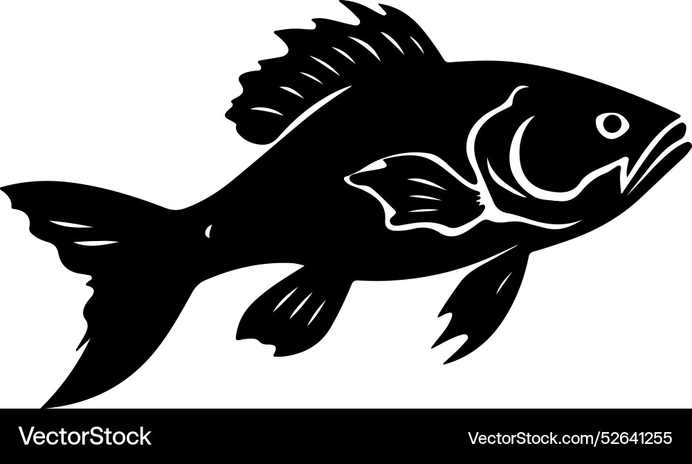Coelacanth fish silhouette white background Vector Image