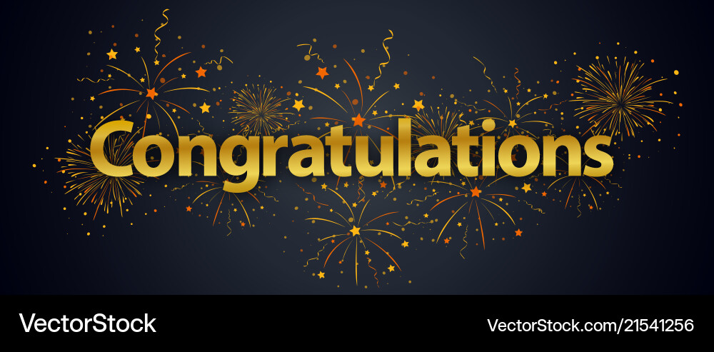 Celebratory Fireworks Banner Royalty Free Vector Image