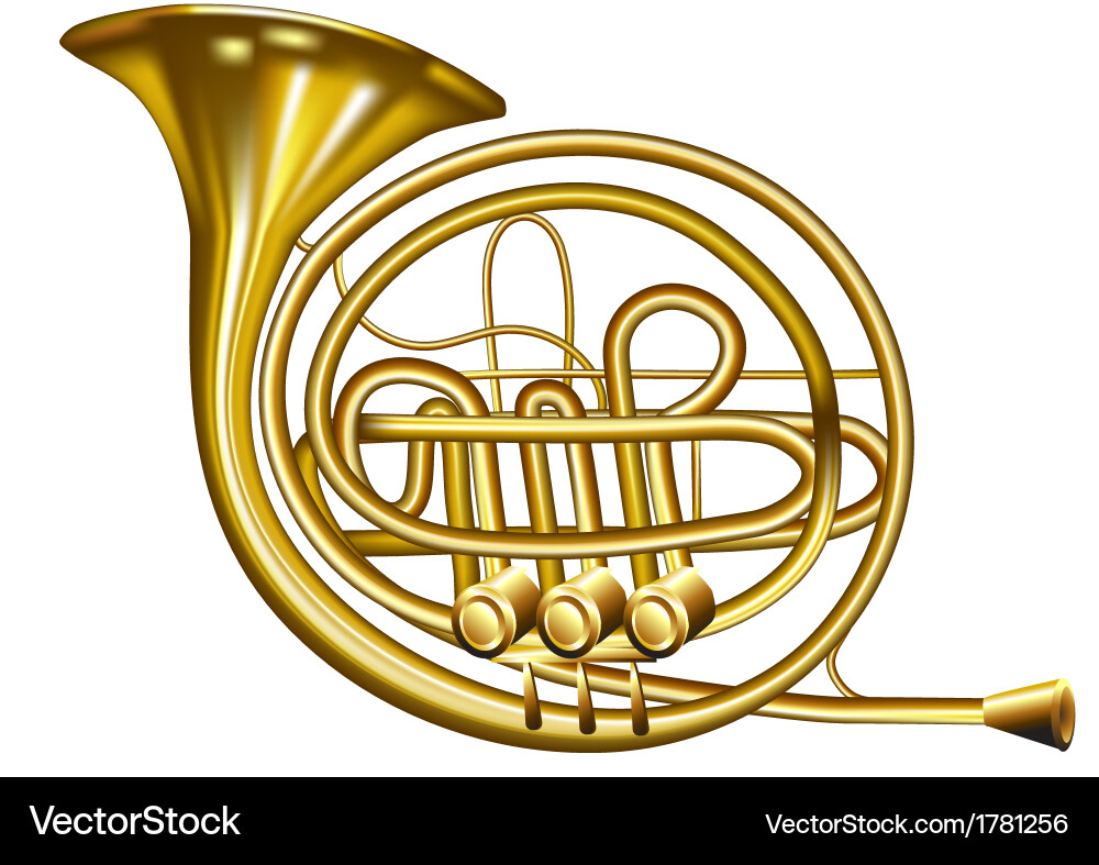 French horn Royalty Free Vector Image - VectorStock