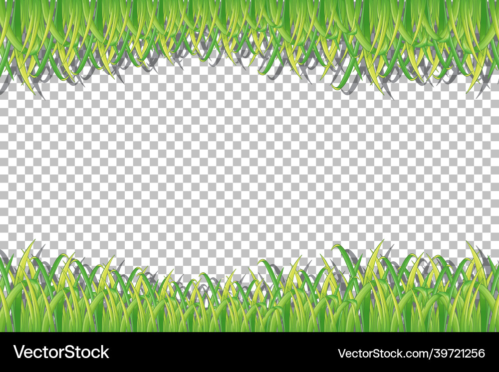 Nature plants frame transparent background Vector Image