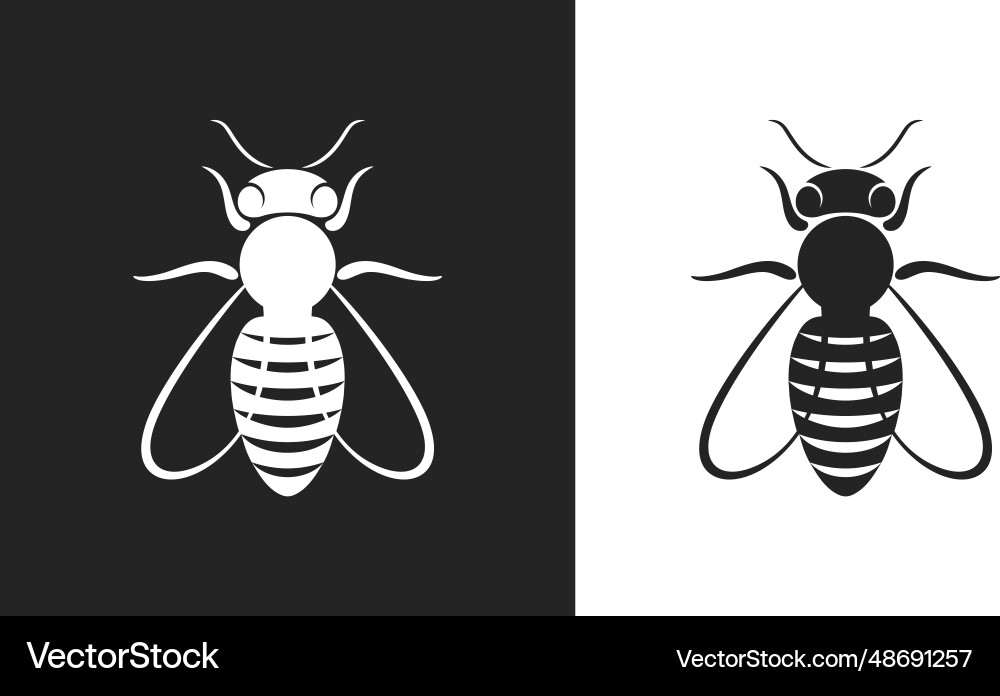 Bee Royalty Free Vector Image - VectorStock