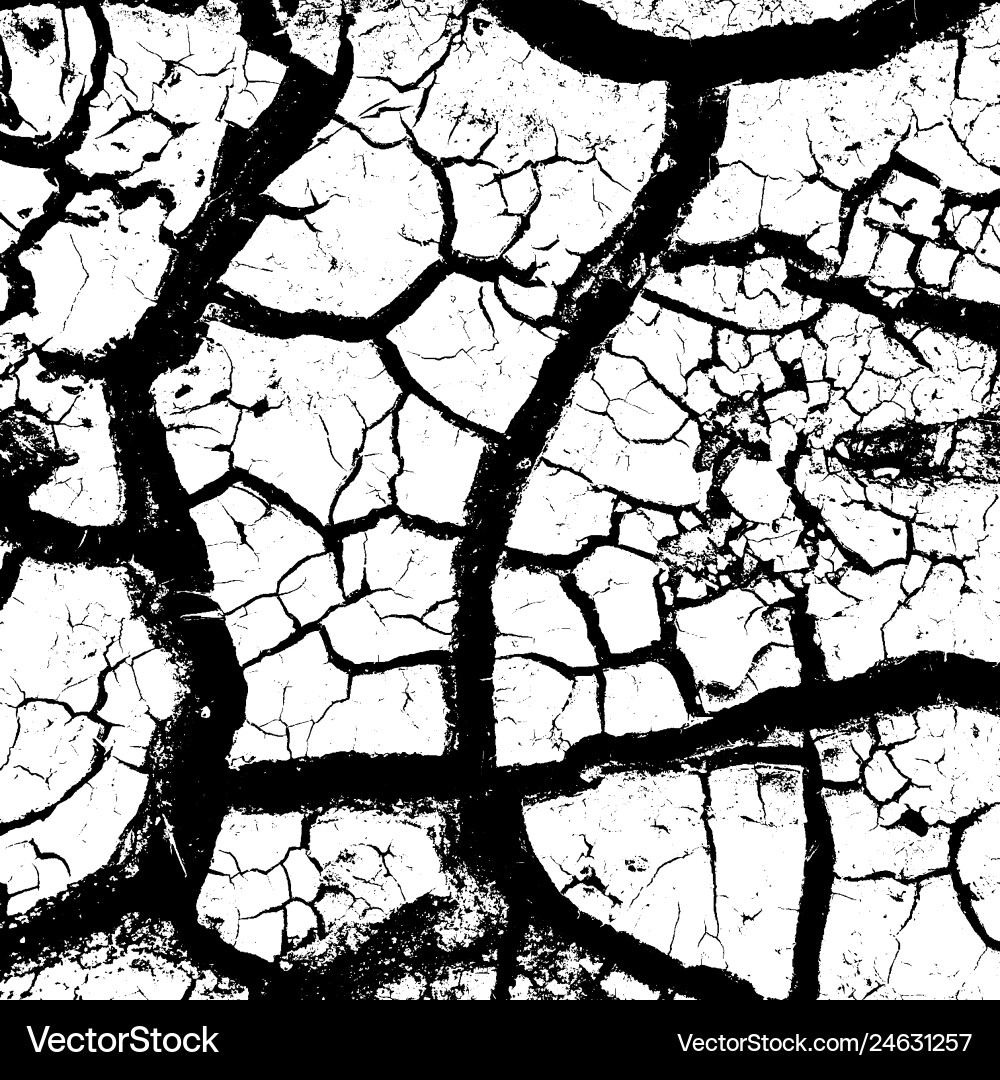 Cracked overlay texture Royalty Free Vector Image