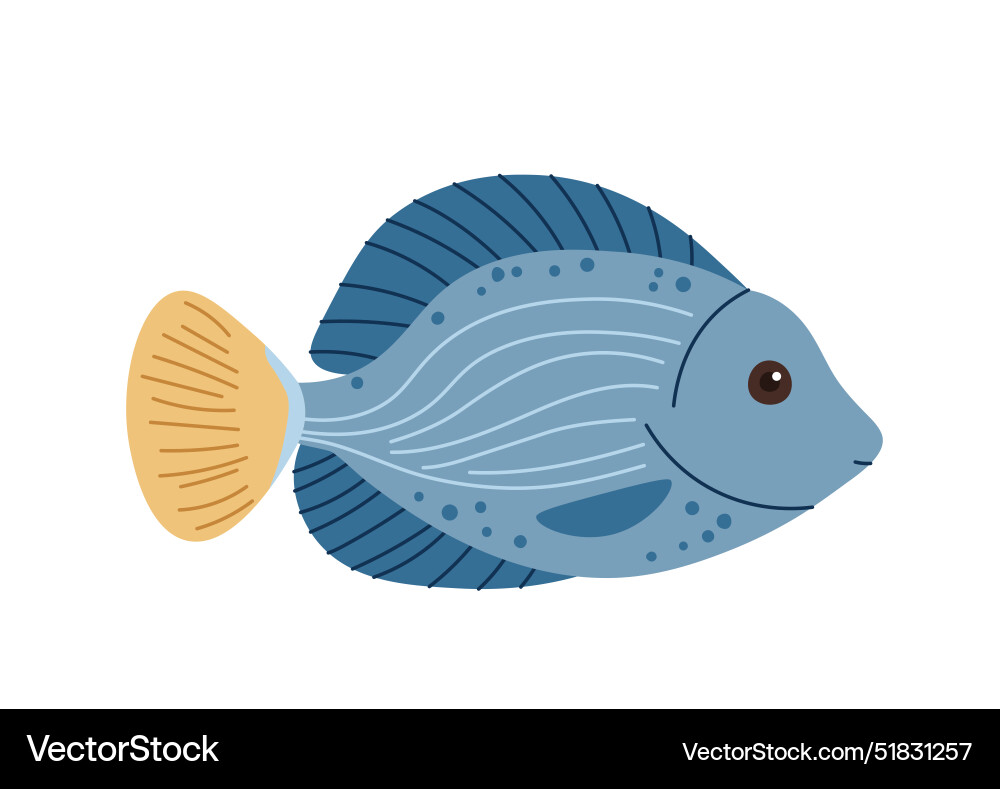 Hand drawn cartoon fish Royalty Free Vector Image