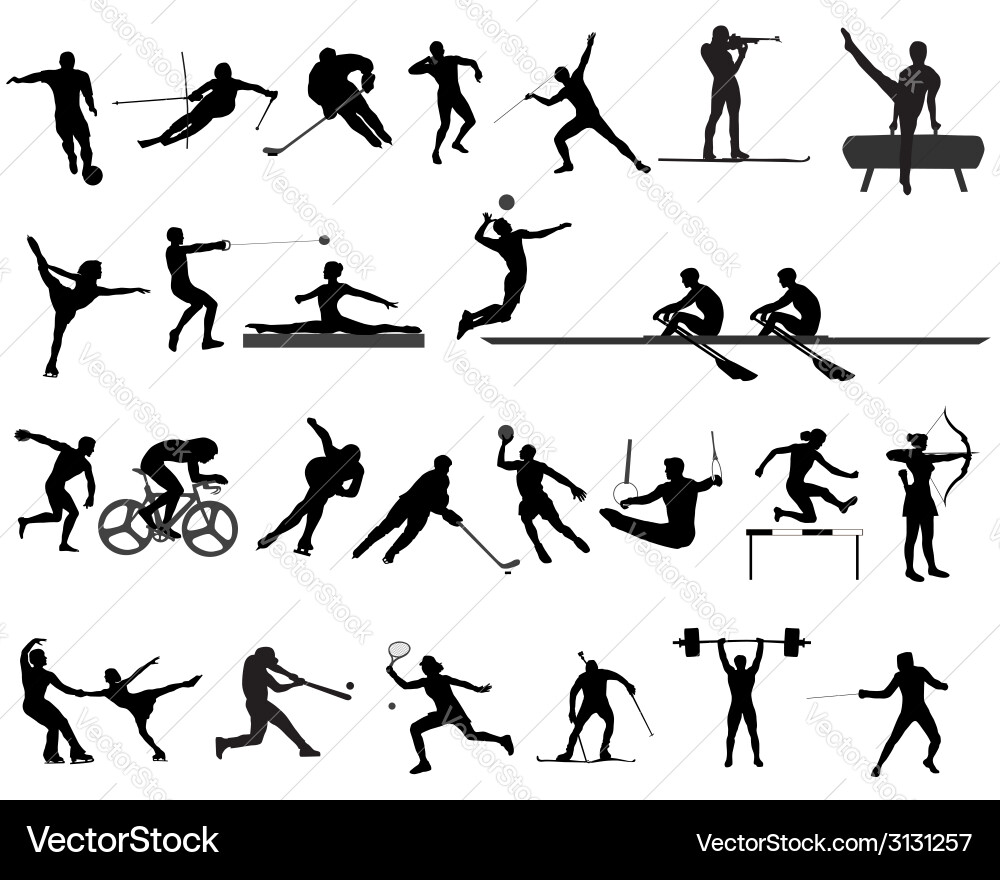Sports Royalty Free Vector Image - VectorStock
