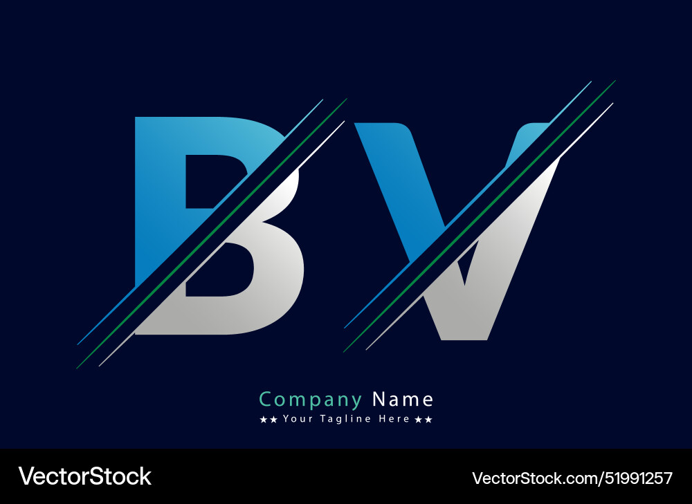 Unique bv letter logo icon template Royalty Free Vector