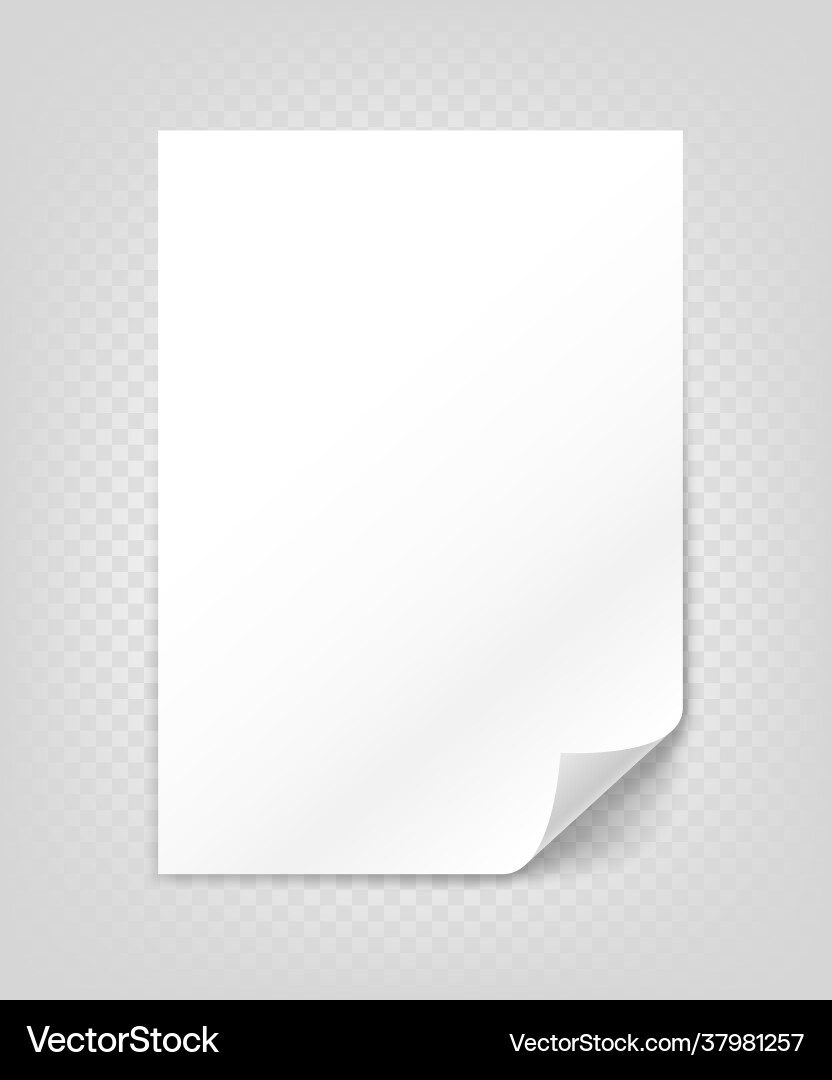 White a4 format paper sheet on a table mockup Vector Image