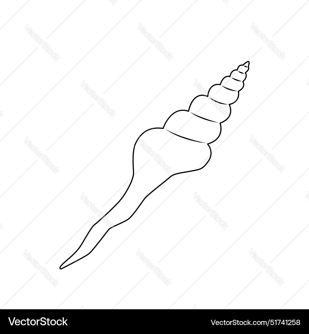 Black and white silhouette sea shell image Vector Image
