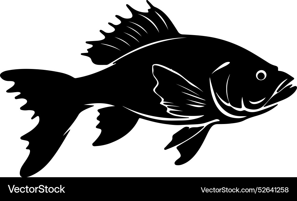 Coelacanth fish silhouette white background Vector Image