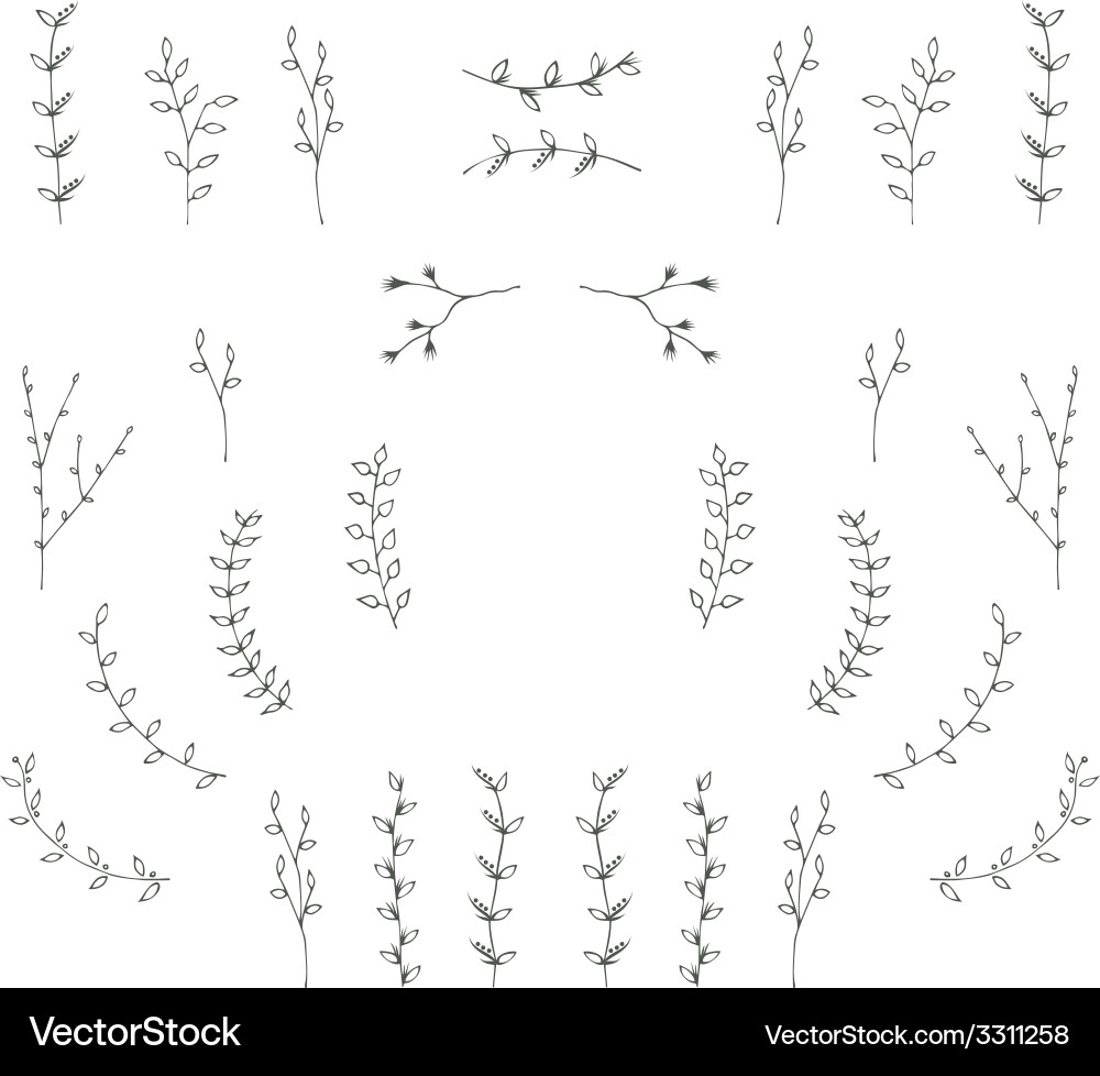 Hand-drawn branches graphic design elements set Vector Image