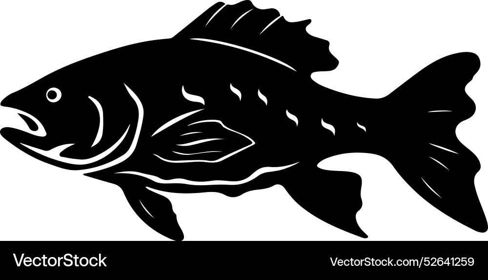 Coelacanth fish silhouette white background Vector Image