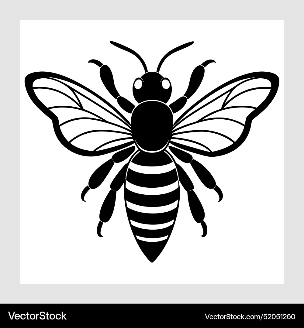 Big bee flying Royalty Free Vector Image - VectorStock