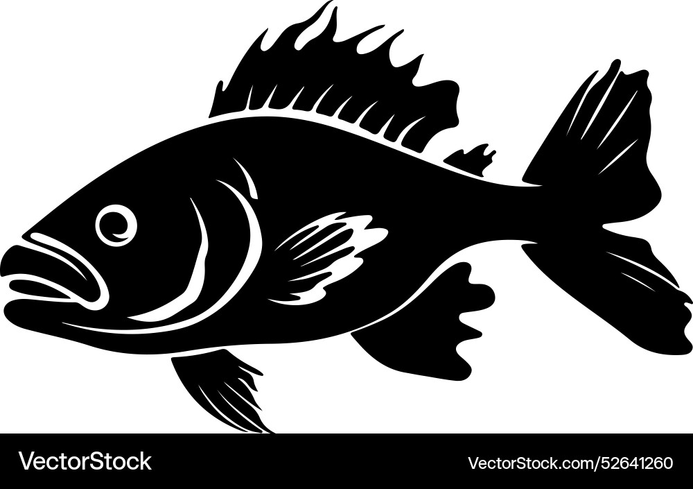 Coelacanth fish silhouette white background Vector Image