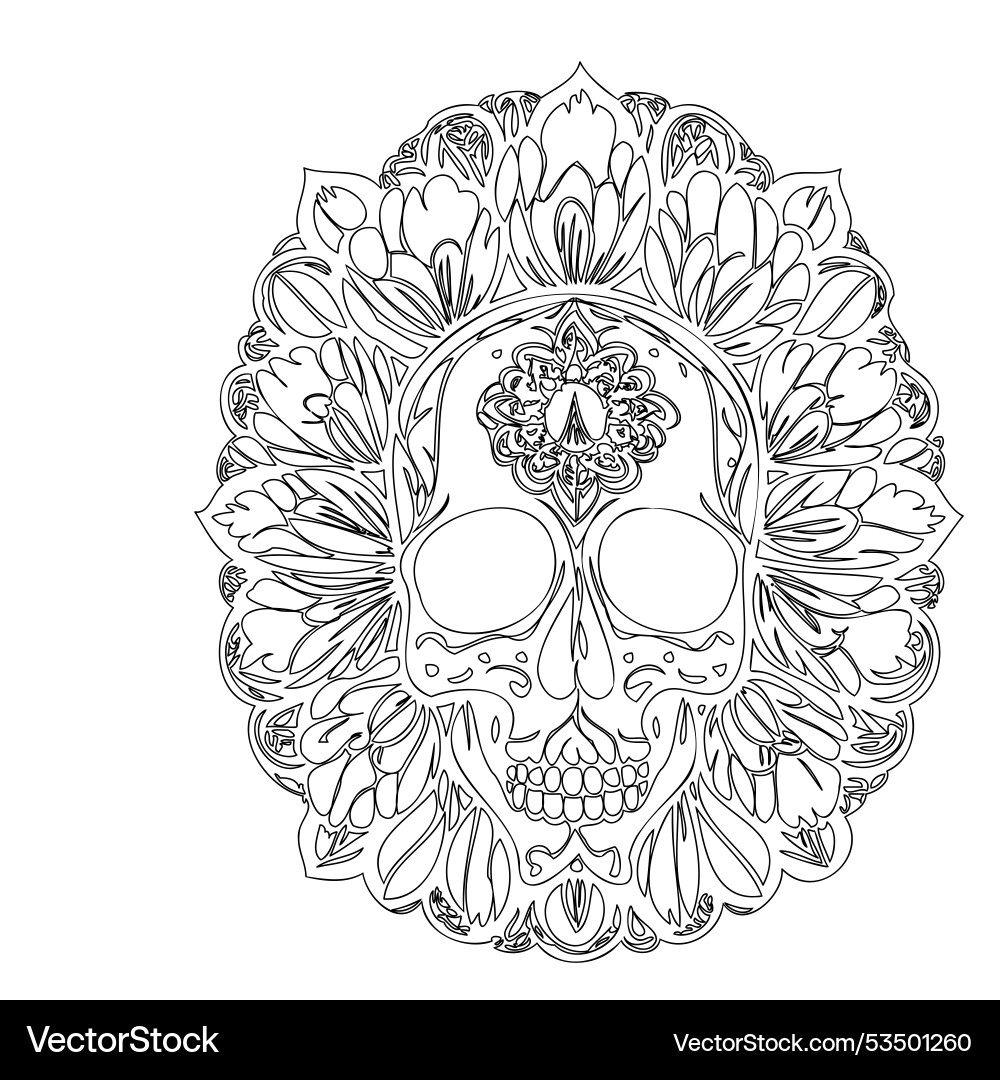 Skull mandala outline sketch Royalty Free Vector Image