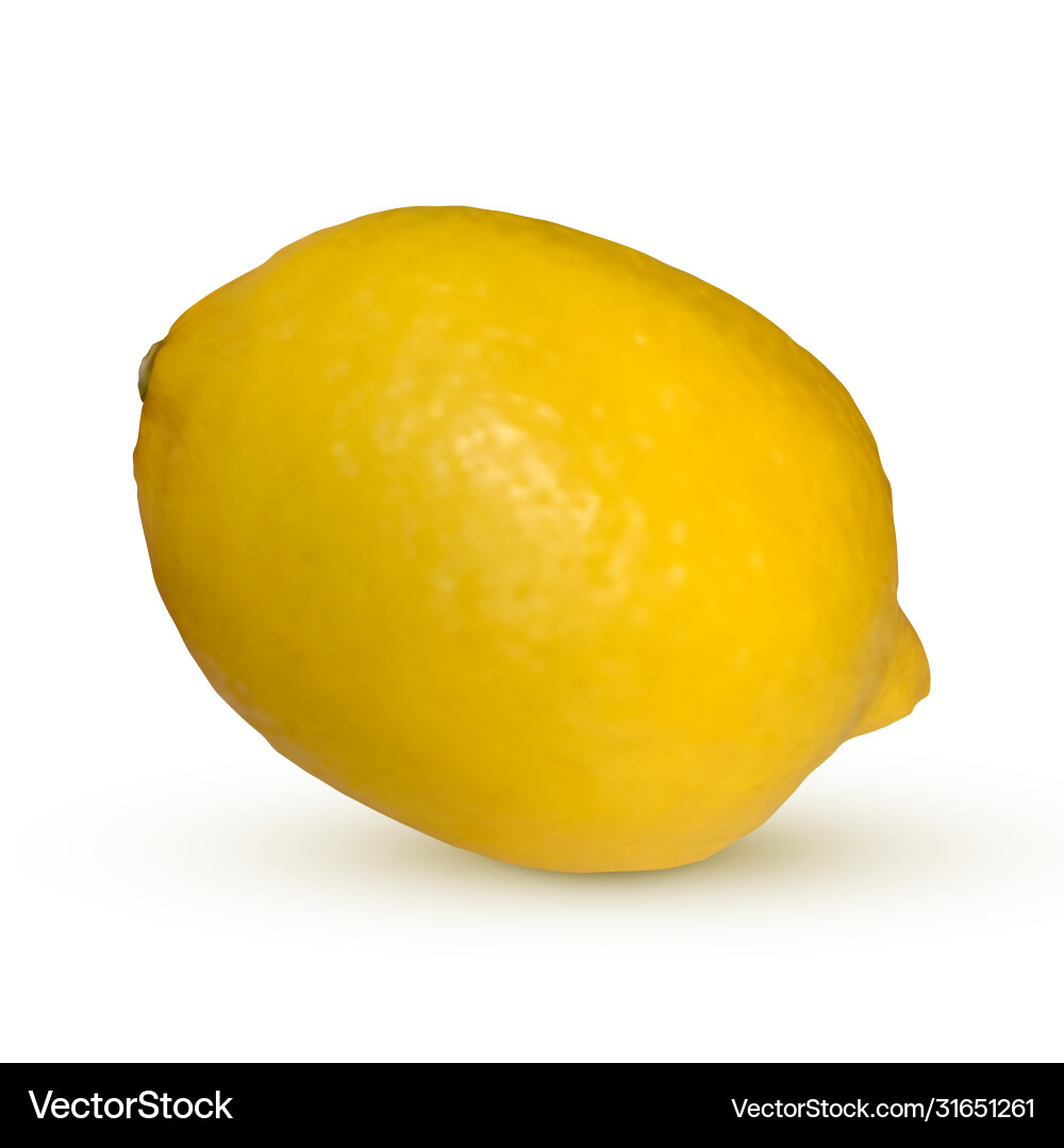 Realistic lemon isolated on white background Vector Image