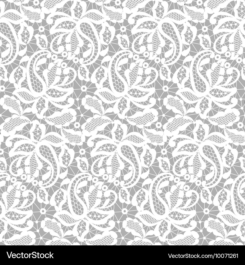 White lace pattern Royalty Free Vector Image - VectorStock