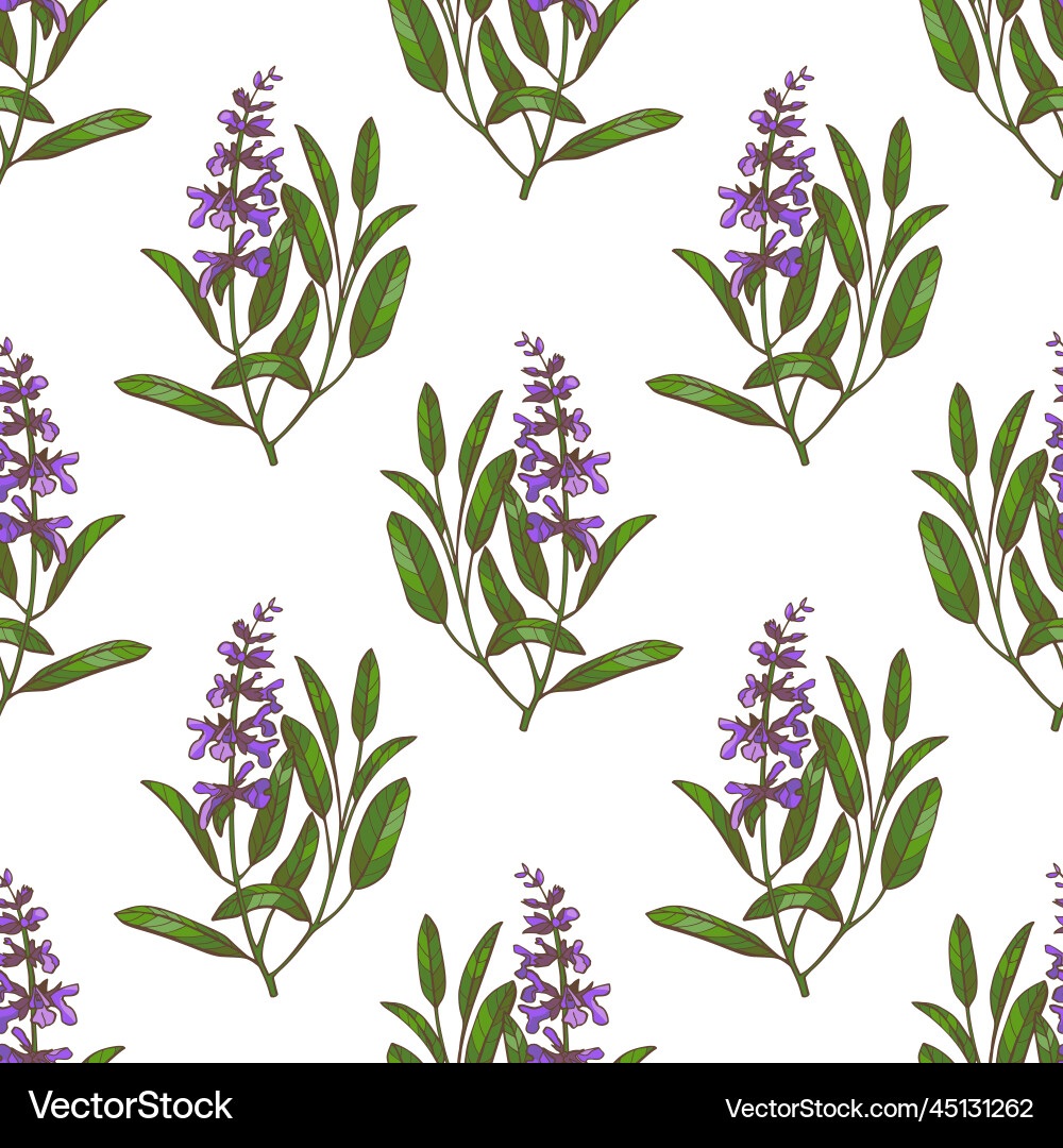 Color sage pattern in hand-drawn style Royalty Free Vector