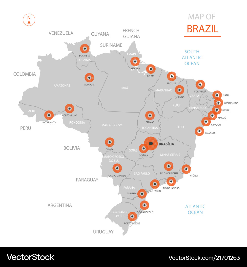 Brazil map with administrative divisions Vector Image