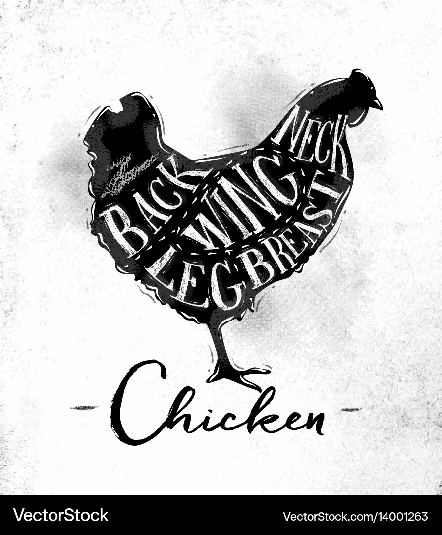 Chicken cutting scheme Royalty Free Vector Image