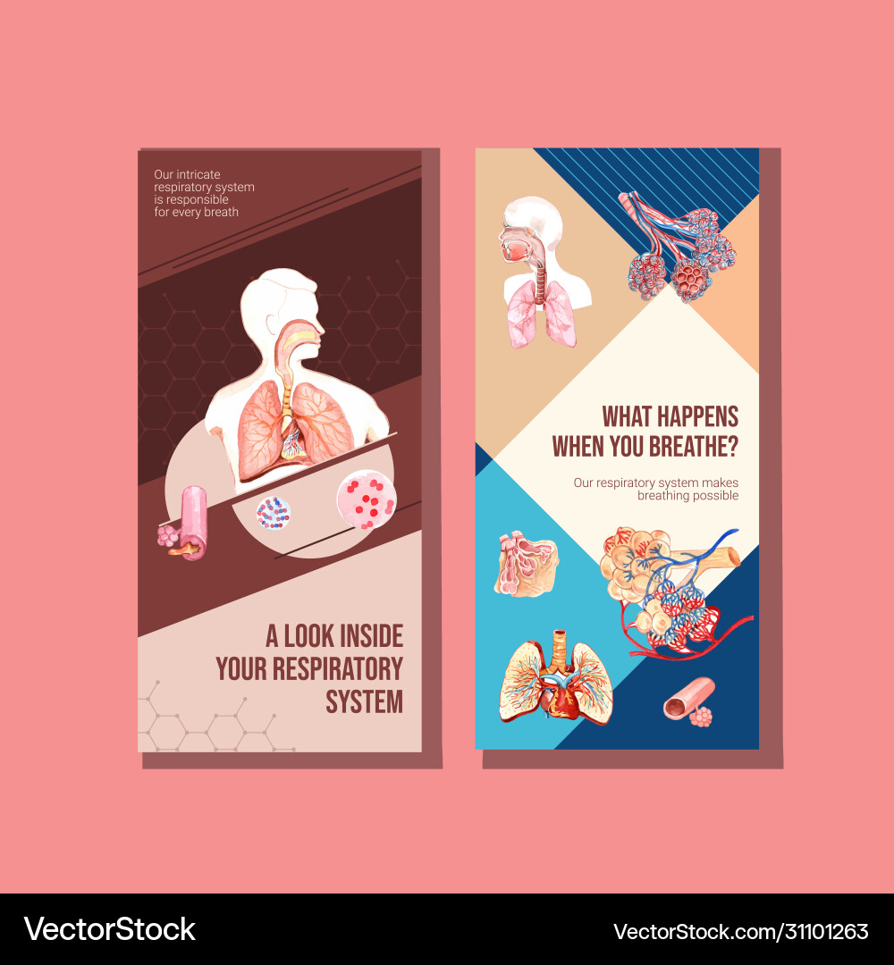 Respiratory flyer design with human anatomy Vector Image