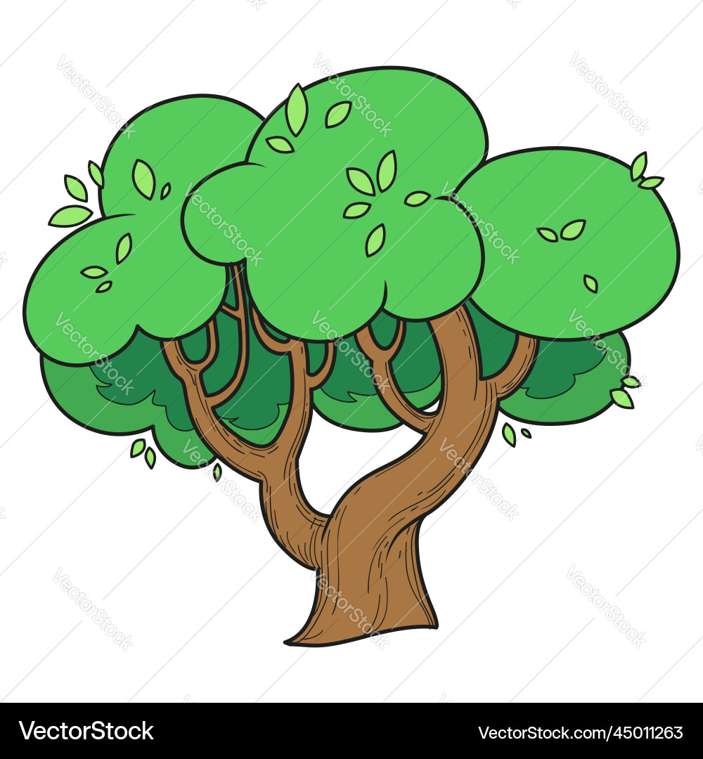 Tree with big foliar crown color variation Vector Image