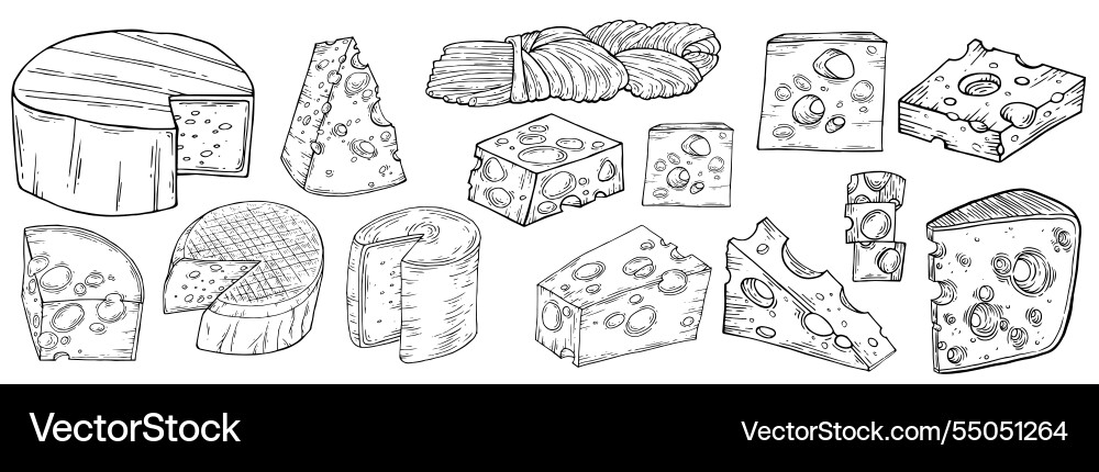 Cheese set ink sketch isolated Royalty Free Vector Image