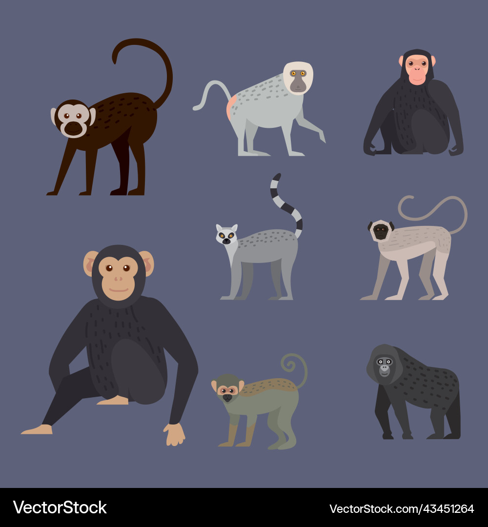 Eight monkeys wildlife animals Royalty Free Vector Image