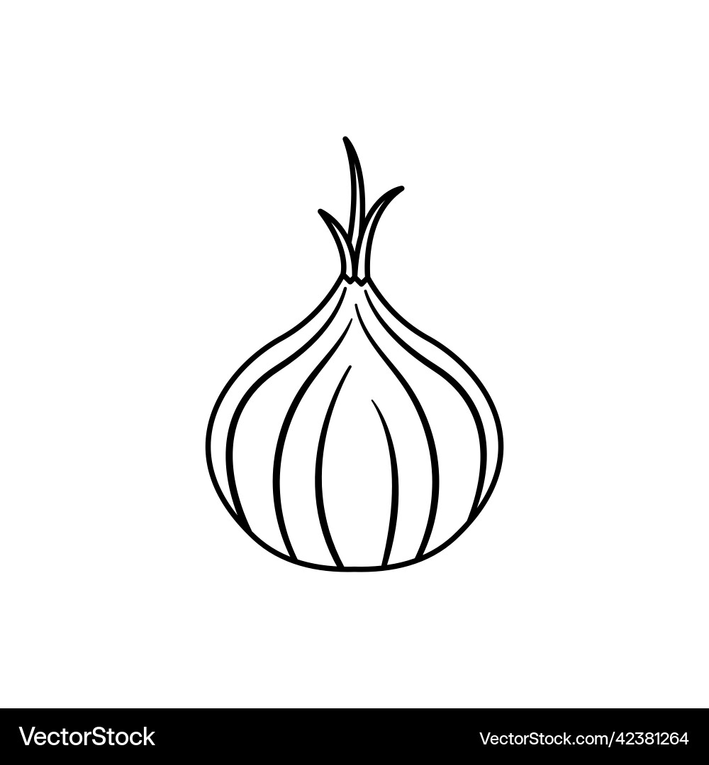 Onion Black And White Cut In Half Red Onion Clipart Free Download