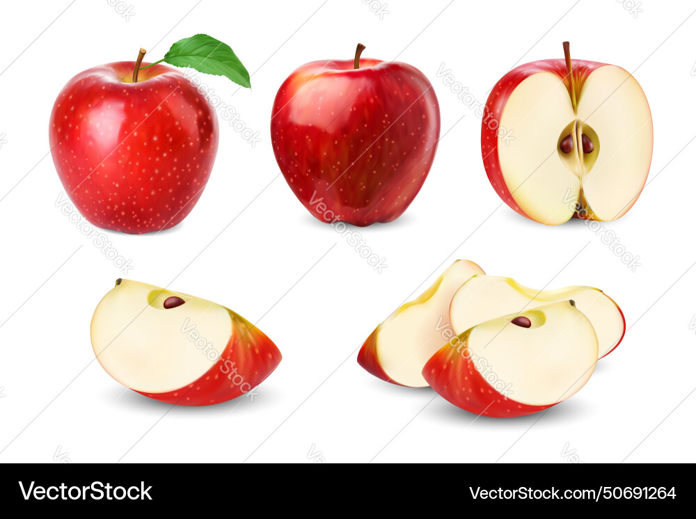 Realistic red apple whole fruit slice and half Vector Image