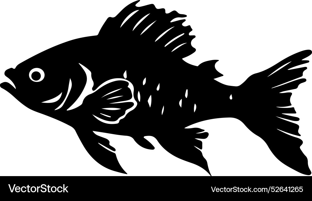 Coelacanth fish silhouette white background Vector Image