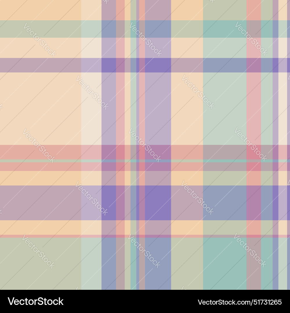 Material texture background front pattern plaid Vector Image