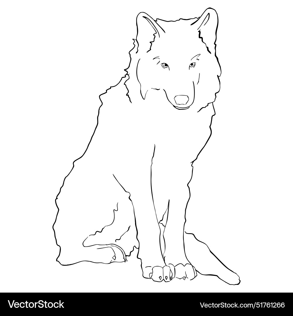 Wolf Royalty Free Vector Image - VectorStock
