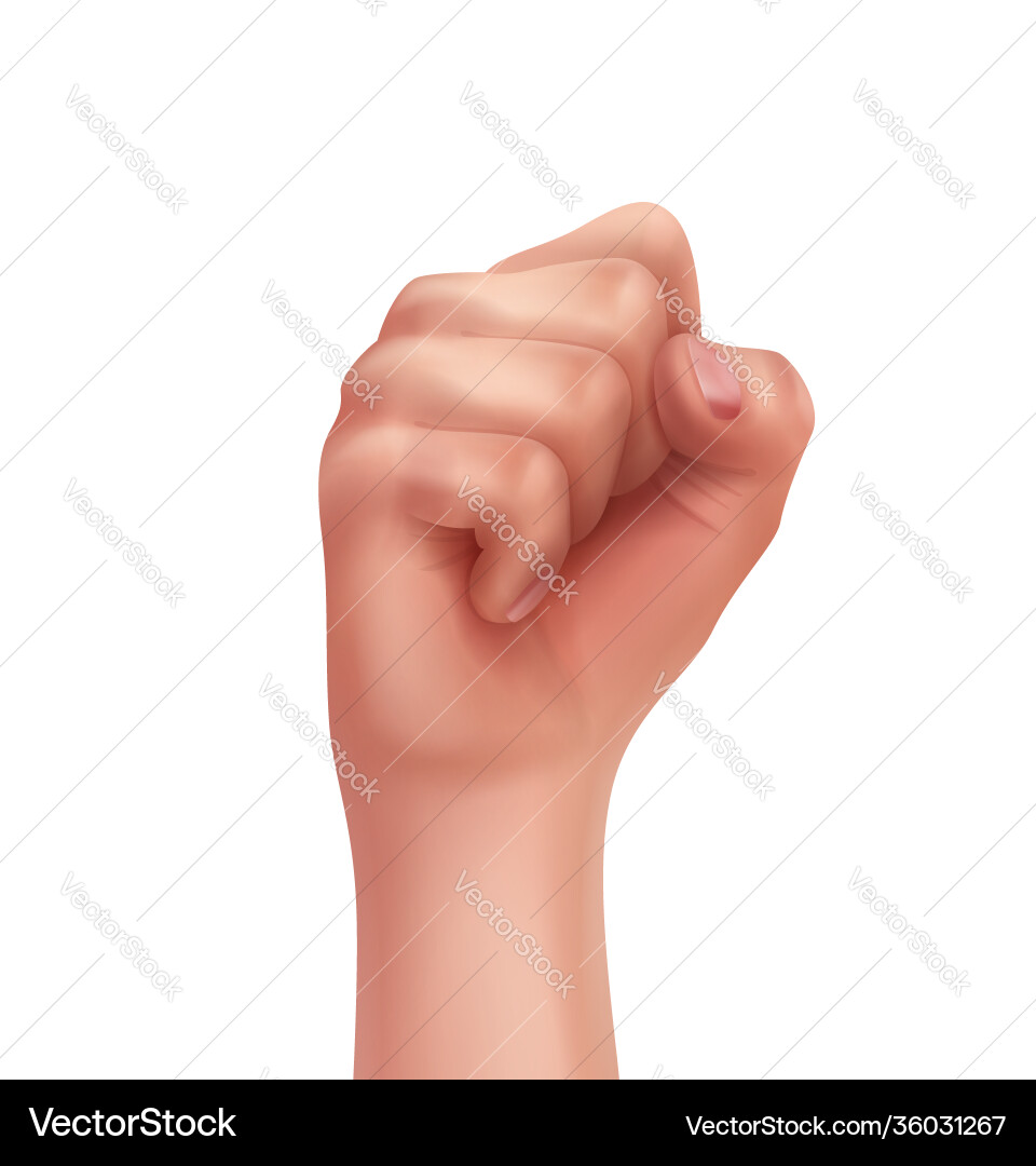 Hand fist Royalty Free Vector Image - VectorStock