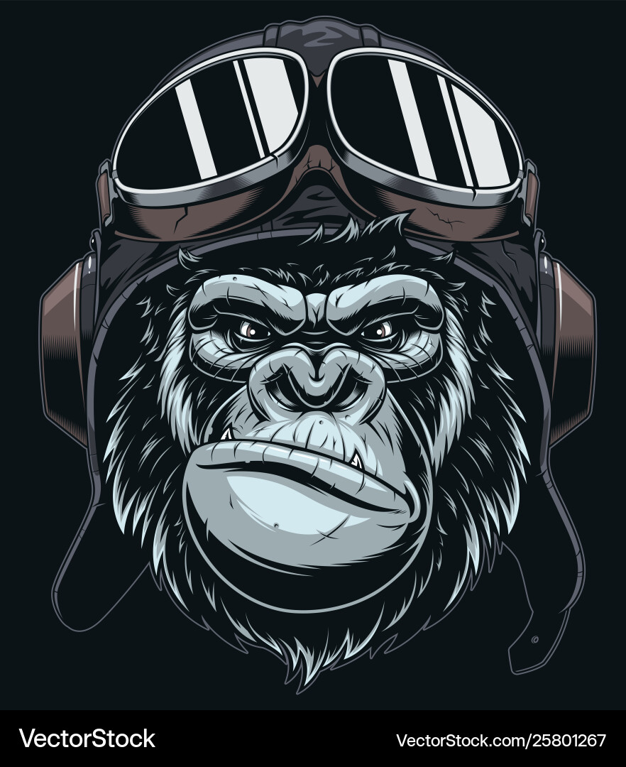 Monkey in Helmet Pilot Vector Images (40)