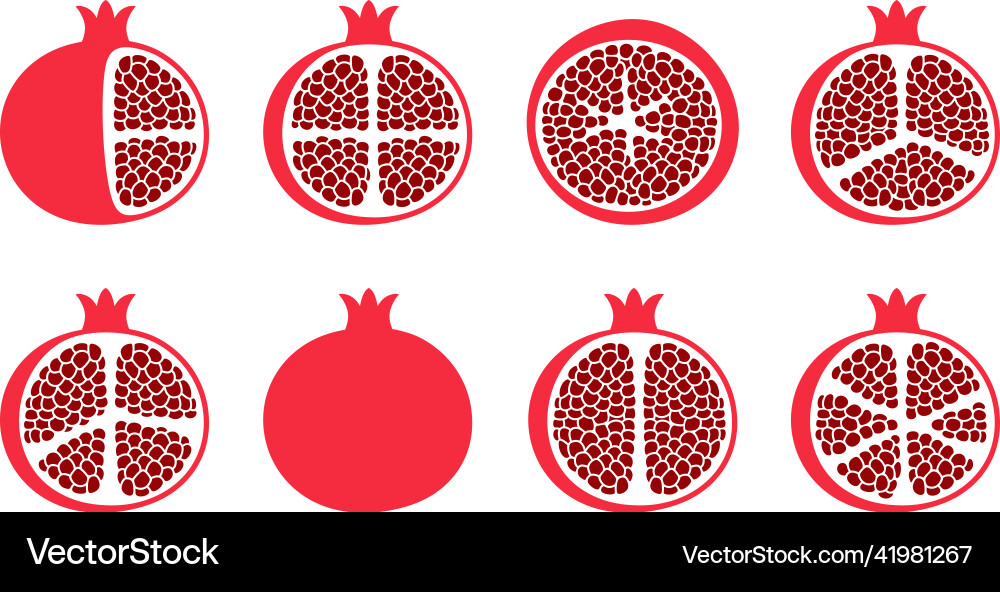 Pomegranate Royalty Free Vector Image - VectorStock