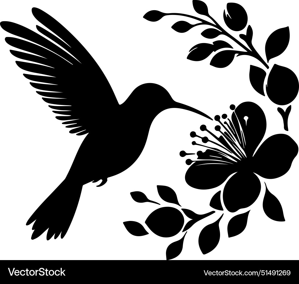 Flying hummingbirds silhouette isolated on white Vector Image