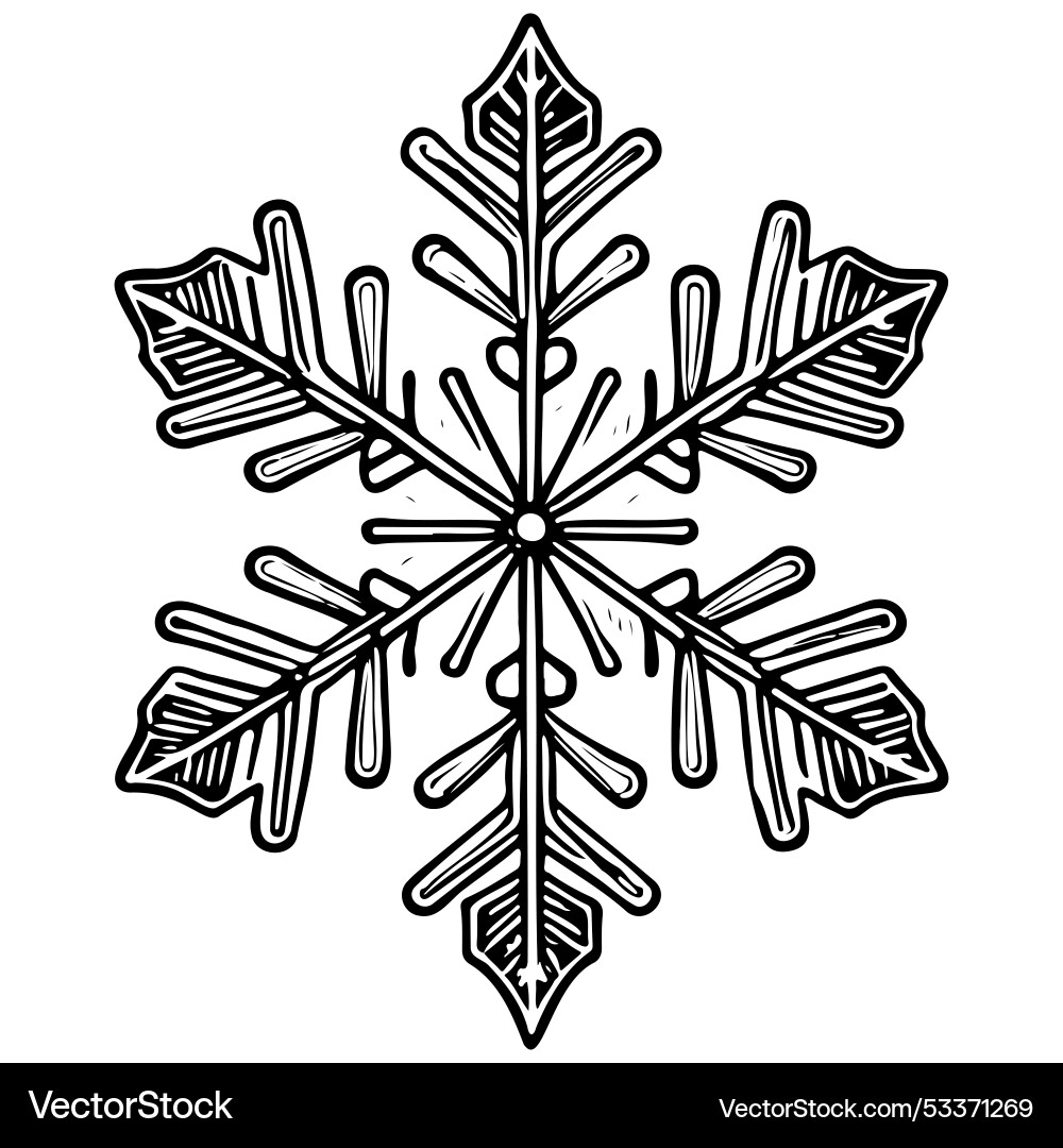 Snowflake of hand drawn line transparent Vector Image