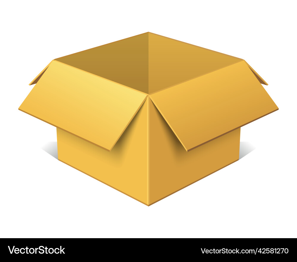 Delivery open box isolated on white background Vector Image