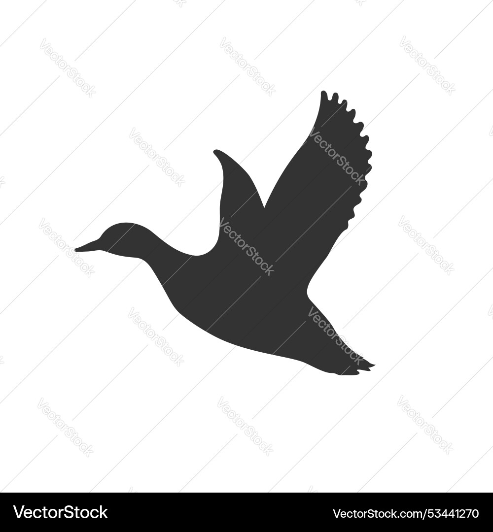 Duck flying Royalty Free Vector Image - VectorStock