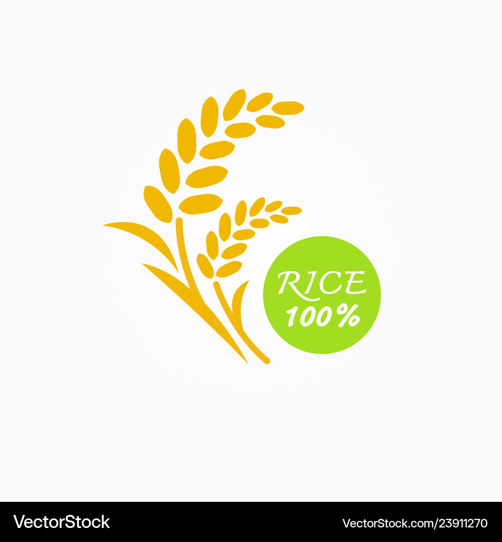 Premium rice great quality design concept Vector Image
