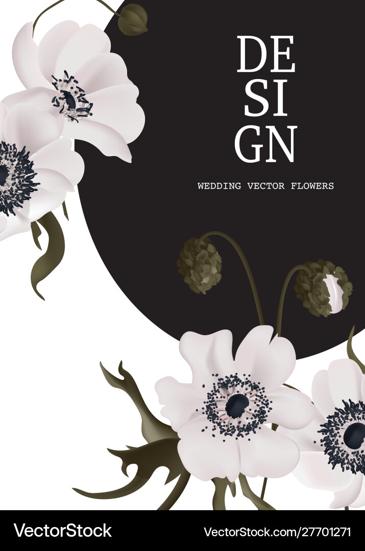 Anemone flowers decoration hnad-drawn 3d Vector Image